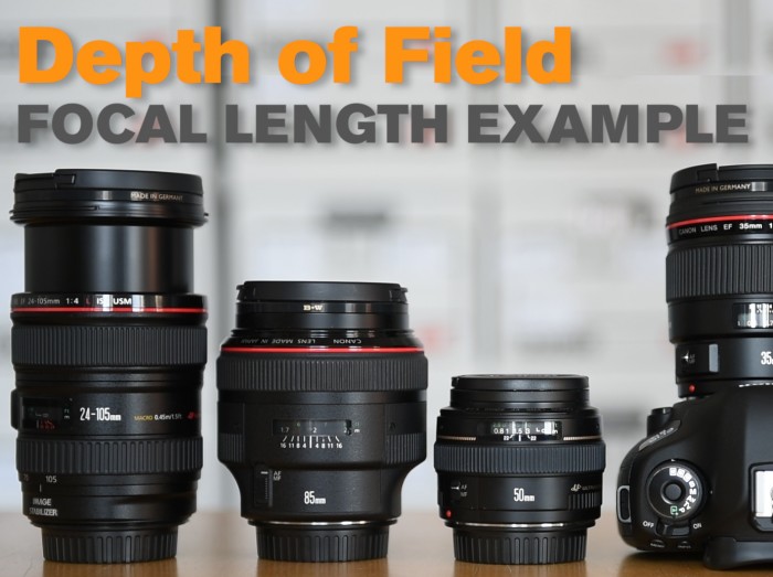 Depth of Field: Focal Length Example - Library