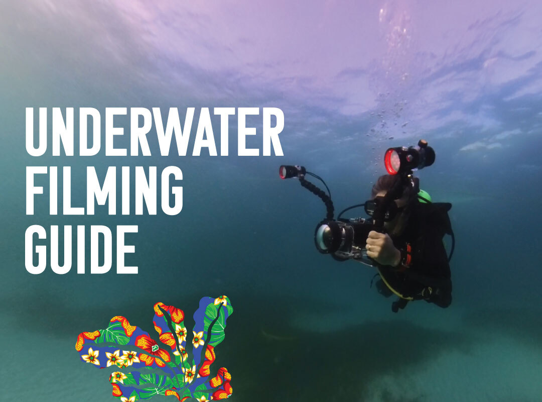 Underwater Filming Guide - Library